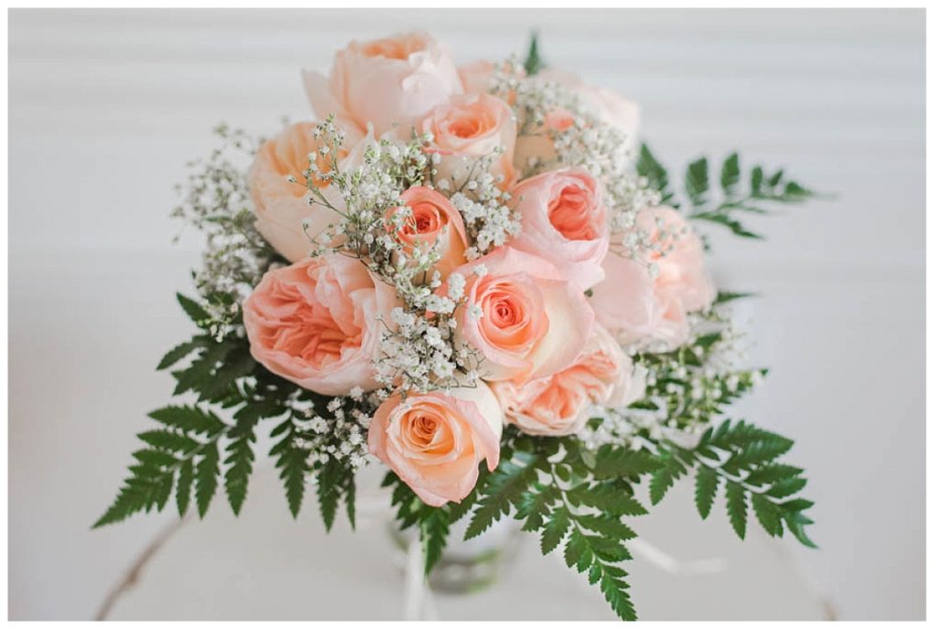 Berryville, Virginia - DeVaux Farms - Jenna & Logan - My Blog